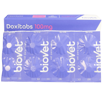 Doxitabs 100mg com 14 Comprimidos para Cães e Gatos Biovet - parceiropet